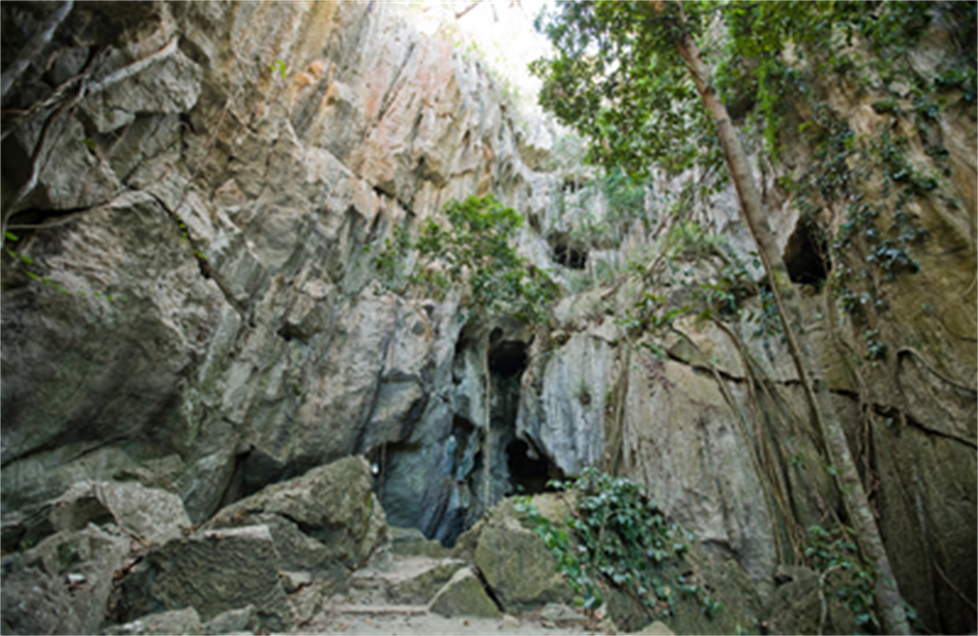 Biodiversity | Livingstone Shire Council